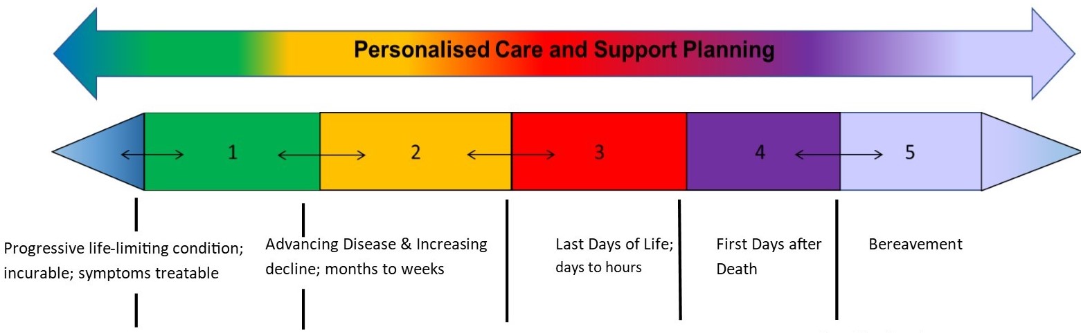| Electronic Proactive Assessment and Information Guide for End of Life ...